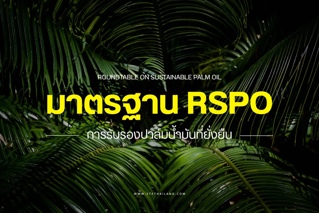 RSPO Standard: Certification for Sustainable Palm Oil - STE Thailand